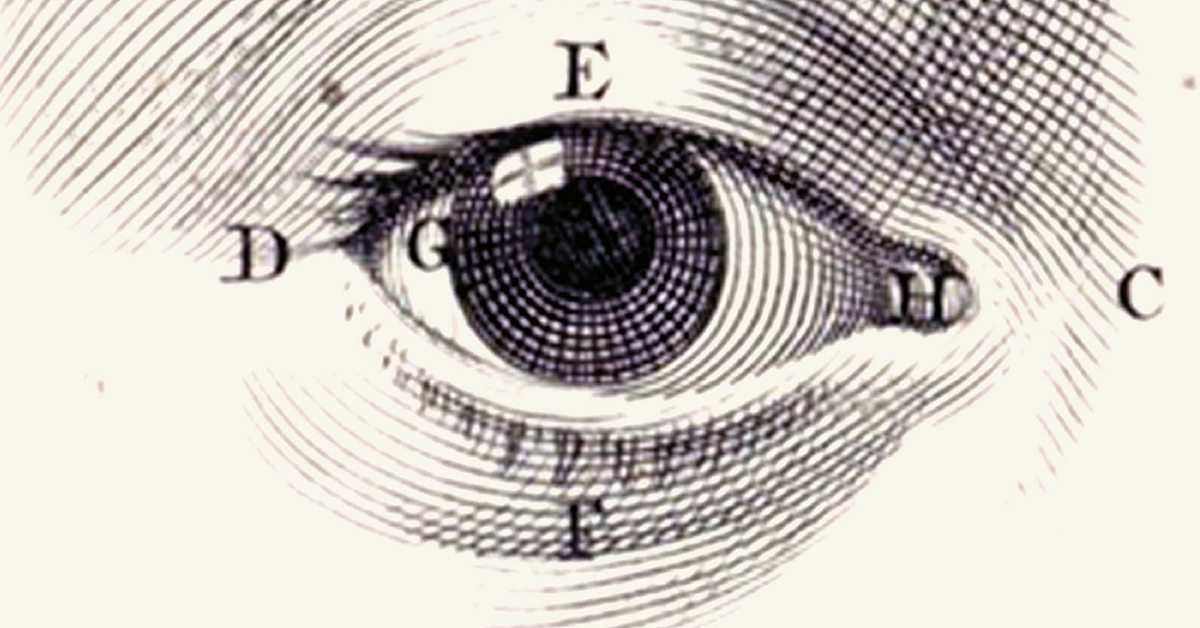 The Knowledge Machine: How an unreasonable idea created modern science ...