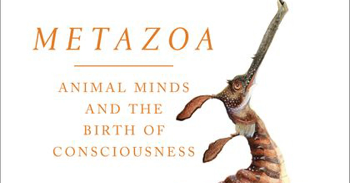 Metazoa | On the origins of consciousness