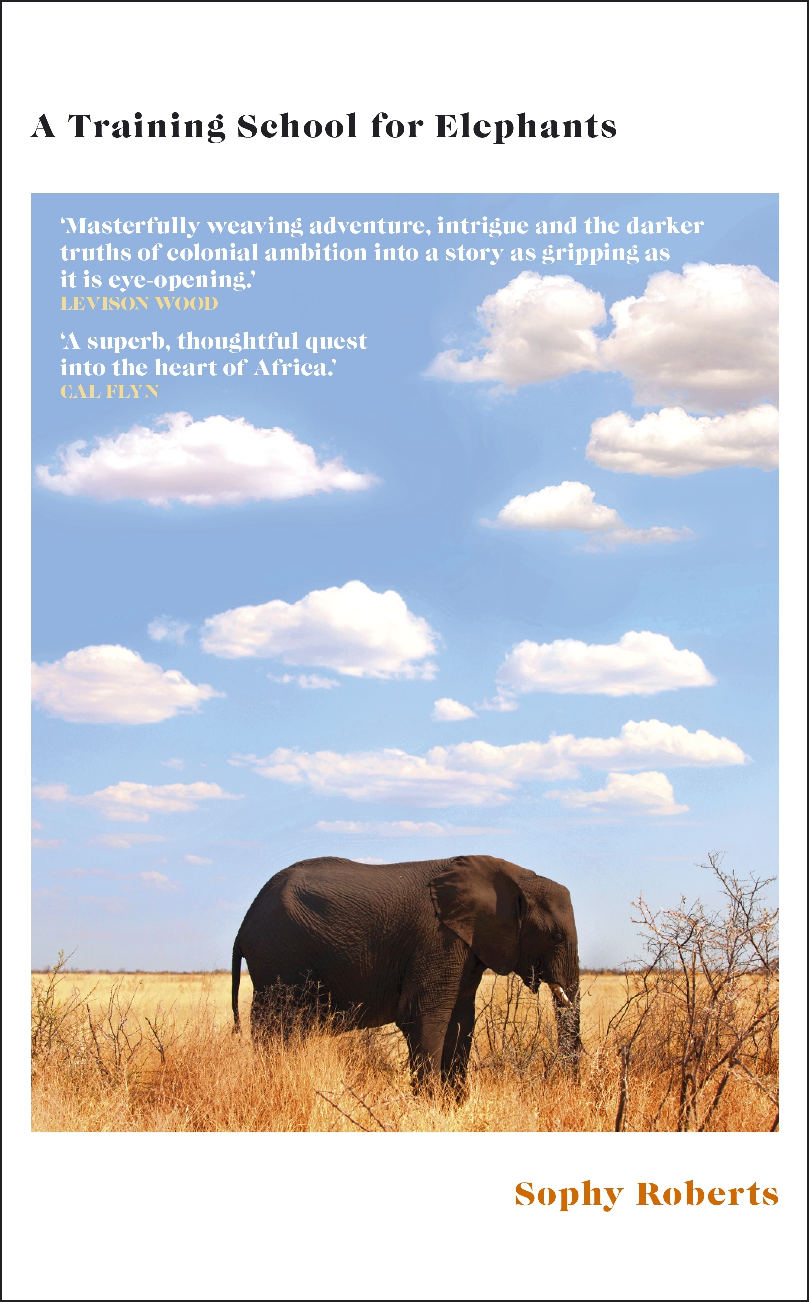 Sarah Day reviews ‘A Training School for Elephants’ by Sophy Roberts