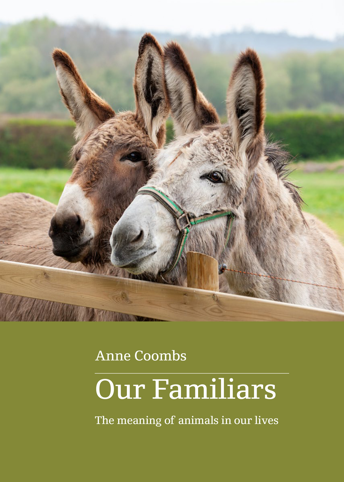 Hayley Singer reviews ‘Our Familiars’ by Anne Coombs