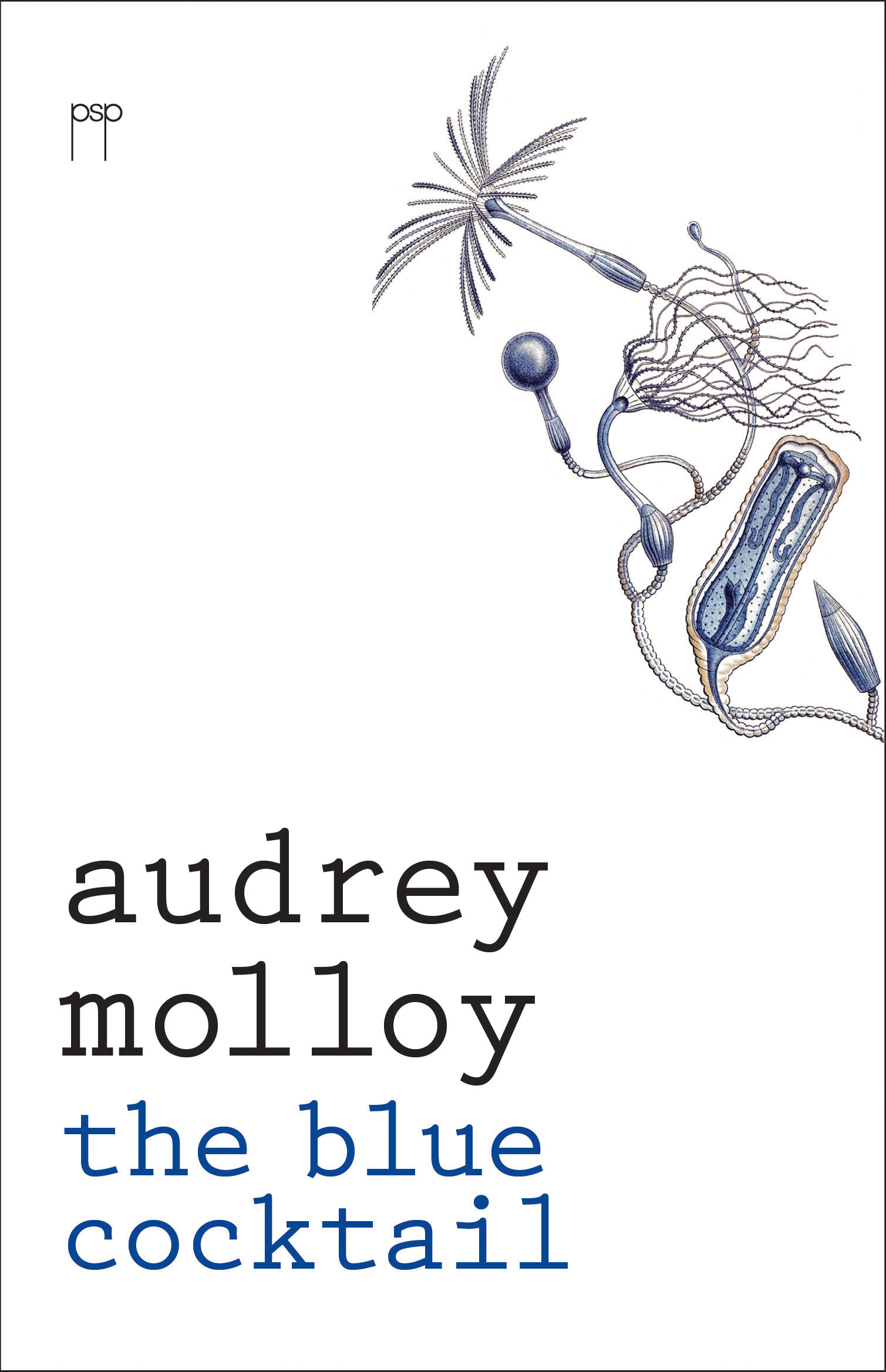 Sam Ryan reviews ‘The Blue Cocktail’ by Audrey Molloy and ‘Ekhō’ by ...