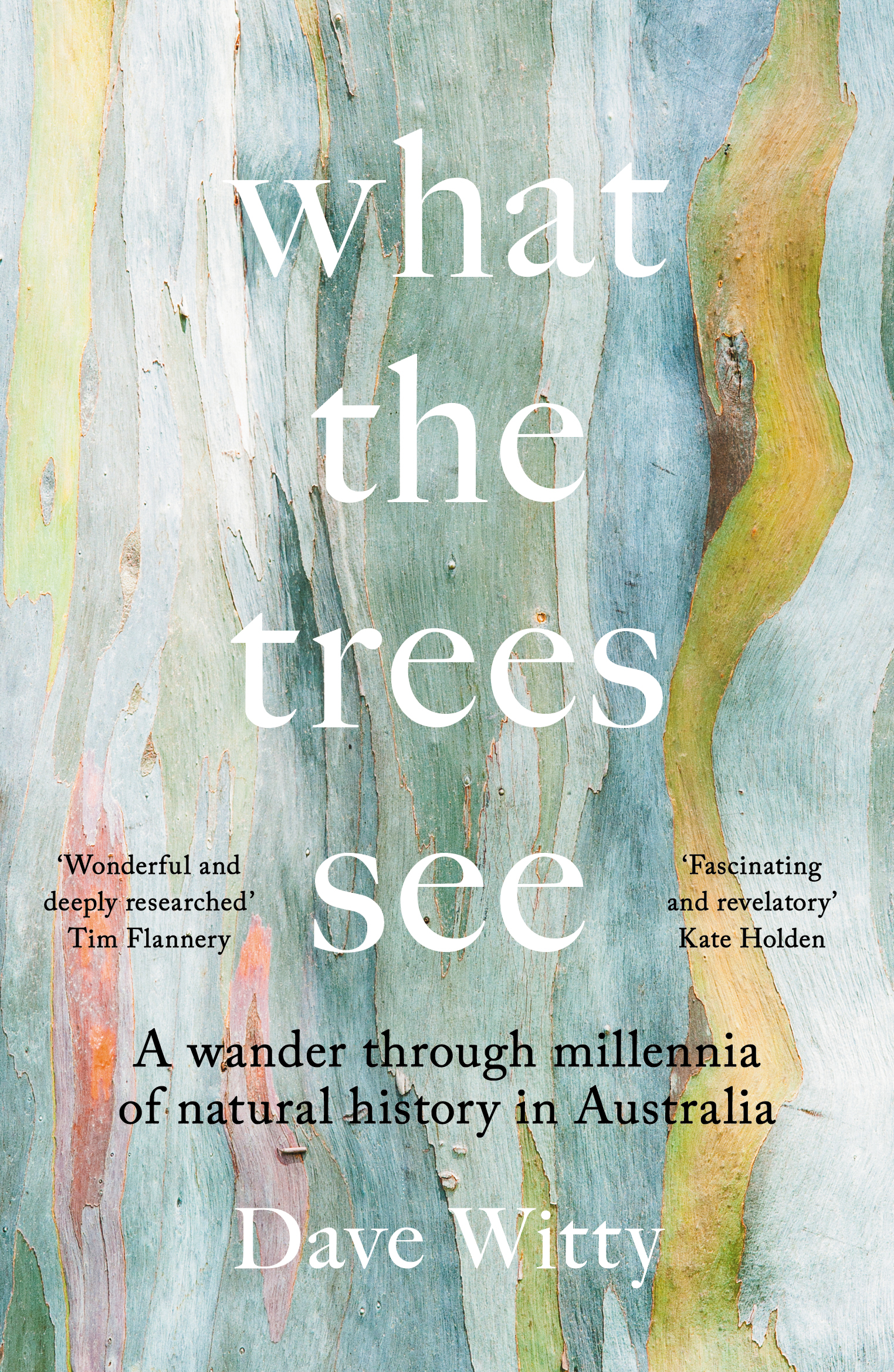 Ashley Hay reviews ‘What the Trees See: A wander through millennia of ...