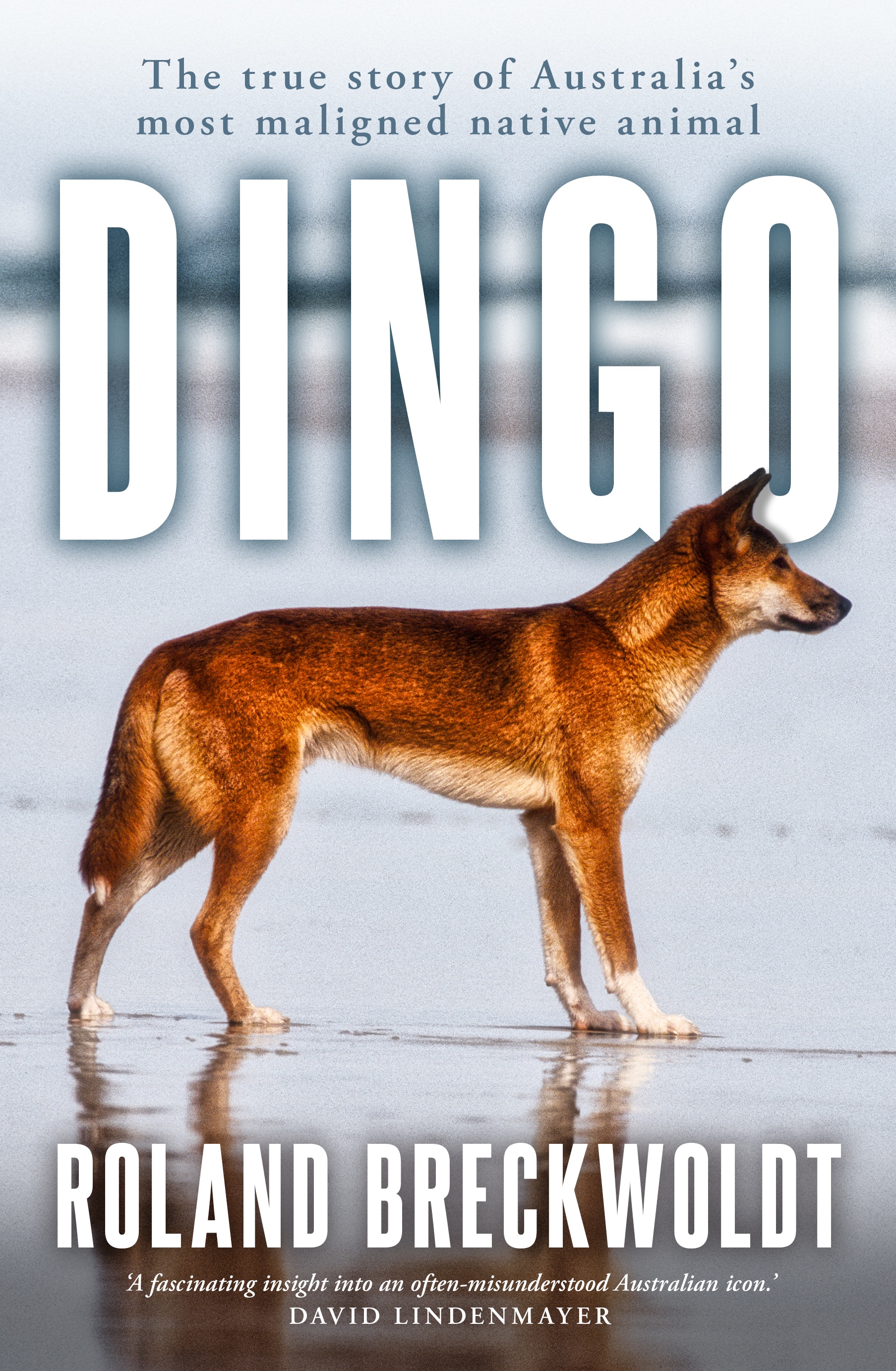 James Purtill reviews ‘Dingo: The true story of Australia’s most ...