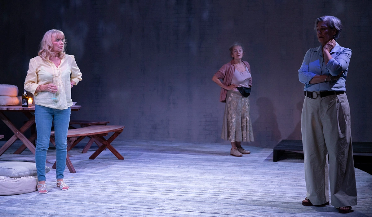 'The Weekend: An insightful adaption of Charlotte Wood’s novel' by ...