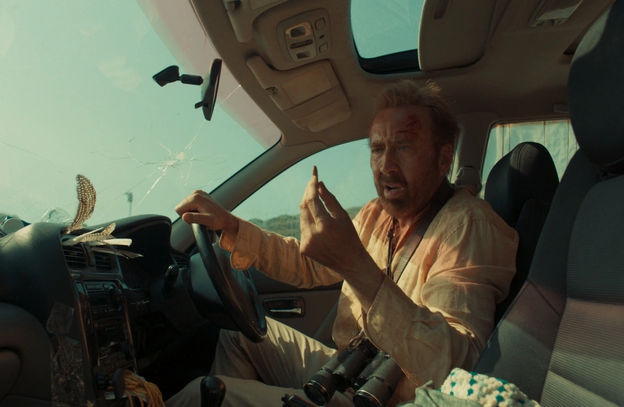 ‘The Surfer: A psychedelic, nightmarish beachside bacchanal’ by Jordan ...