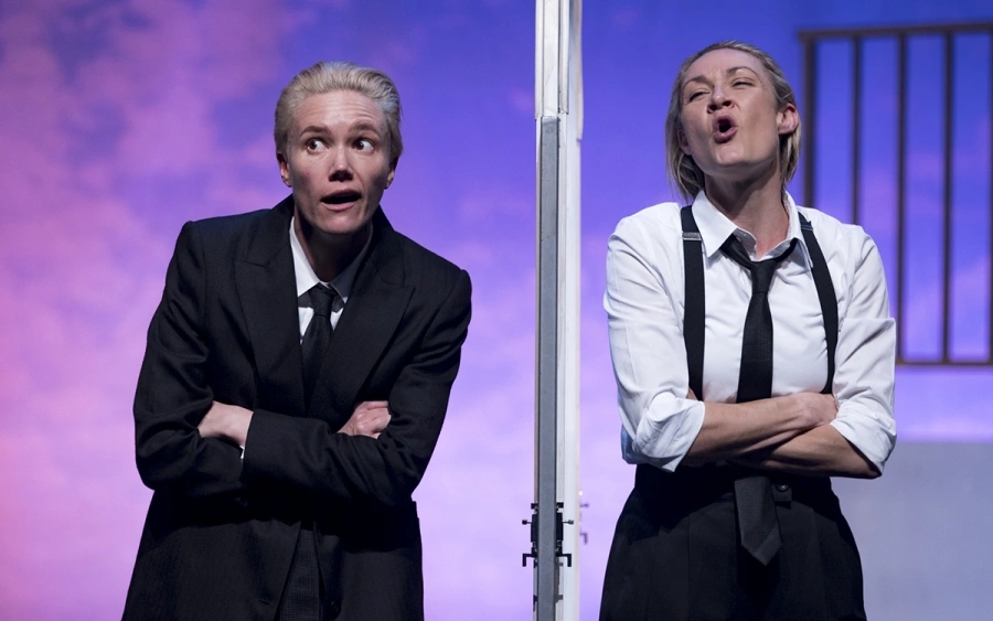 ‘The Comedy of Errors: A waddling production of a breakneck farce’ by ...