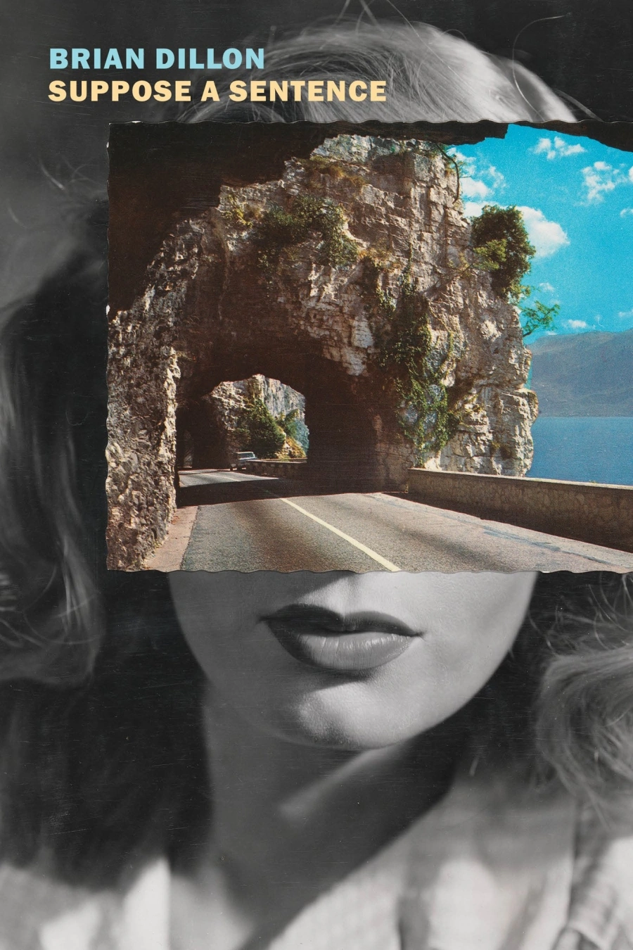 Luke Beesley reviews 'Suppose a Sentence' by Brian Dillon